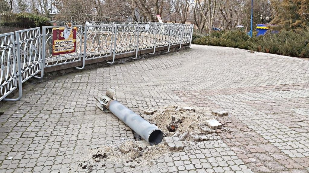 Here's the latest on besieged zoo animals in Ukraine's war! - Animal ...