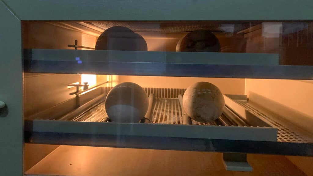 Typically thought of as “bad guys”, vultures (who are heading towards ...