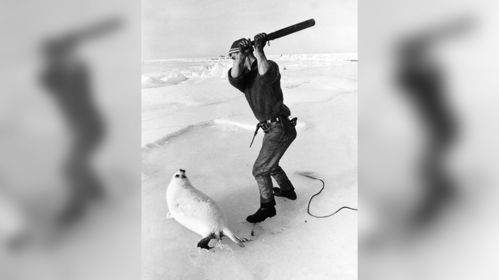 A tribute to Animal Champion, Brian Davies: 1935 - 2022 - Animal ...