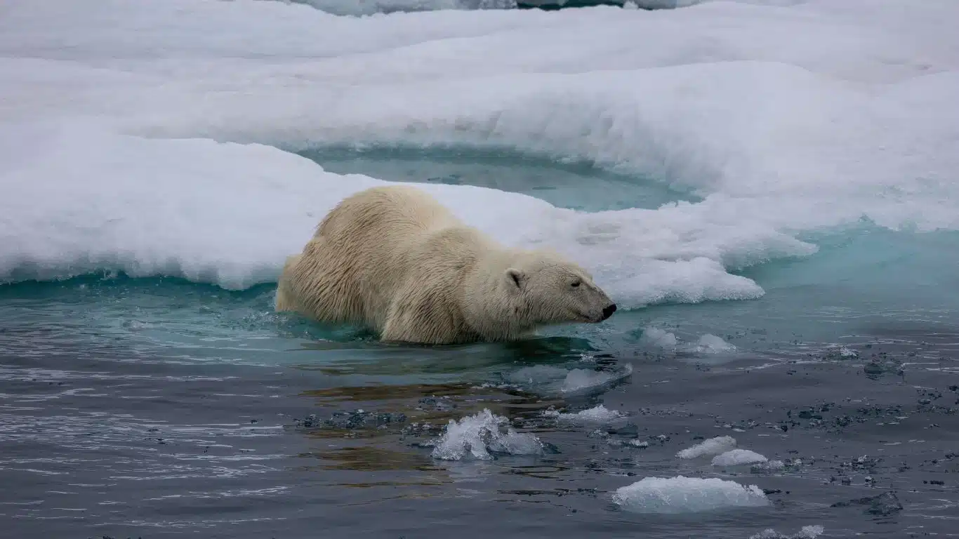 World facing ‘hellish’ 3C of climate heating, UN warns before Cop28 ...