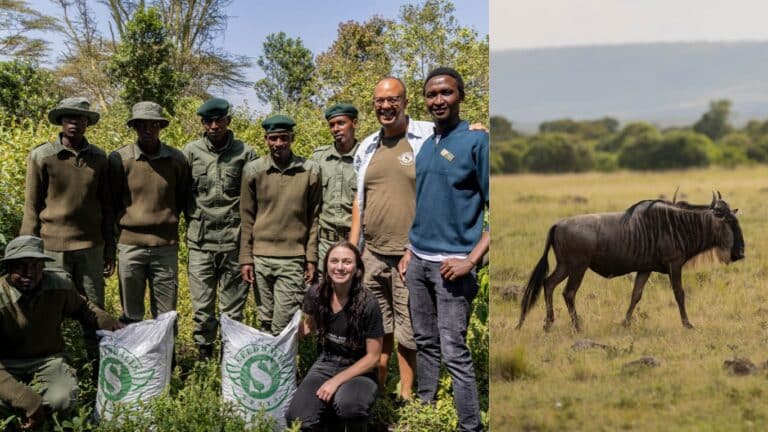 Habitat Destruction - Animal Survival International