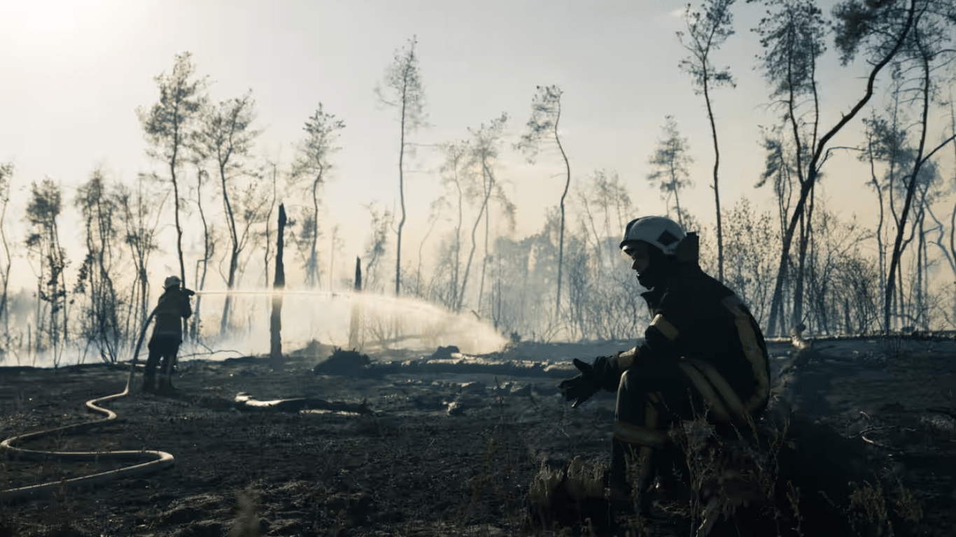 ‘The forest will survive’: the volunteers saving Kharkiv’s war-charred ...