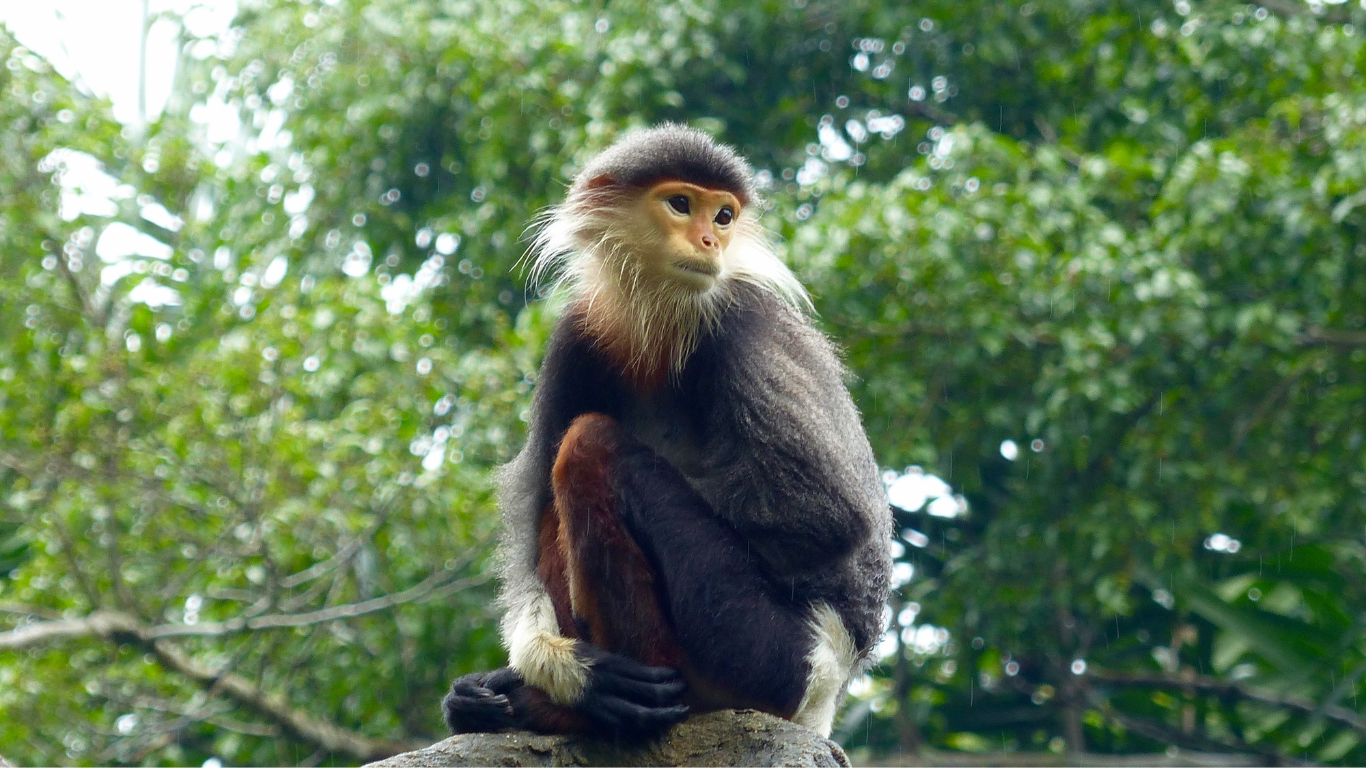 7 hopeful wildlife sightings that researchers celebrated in 2025 ...